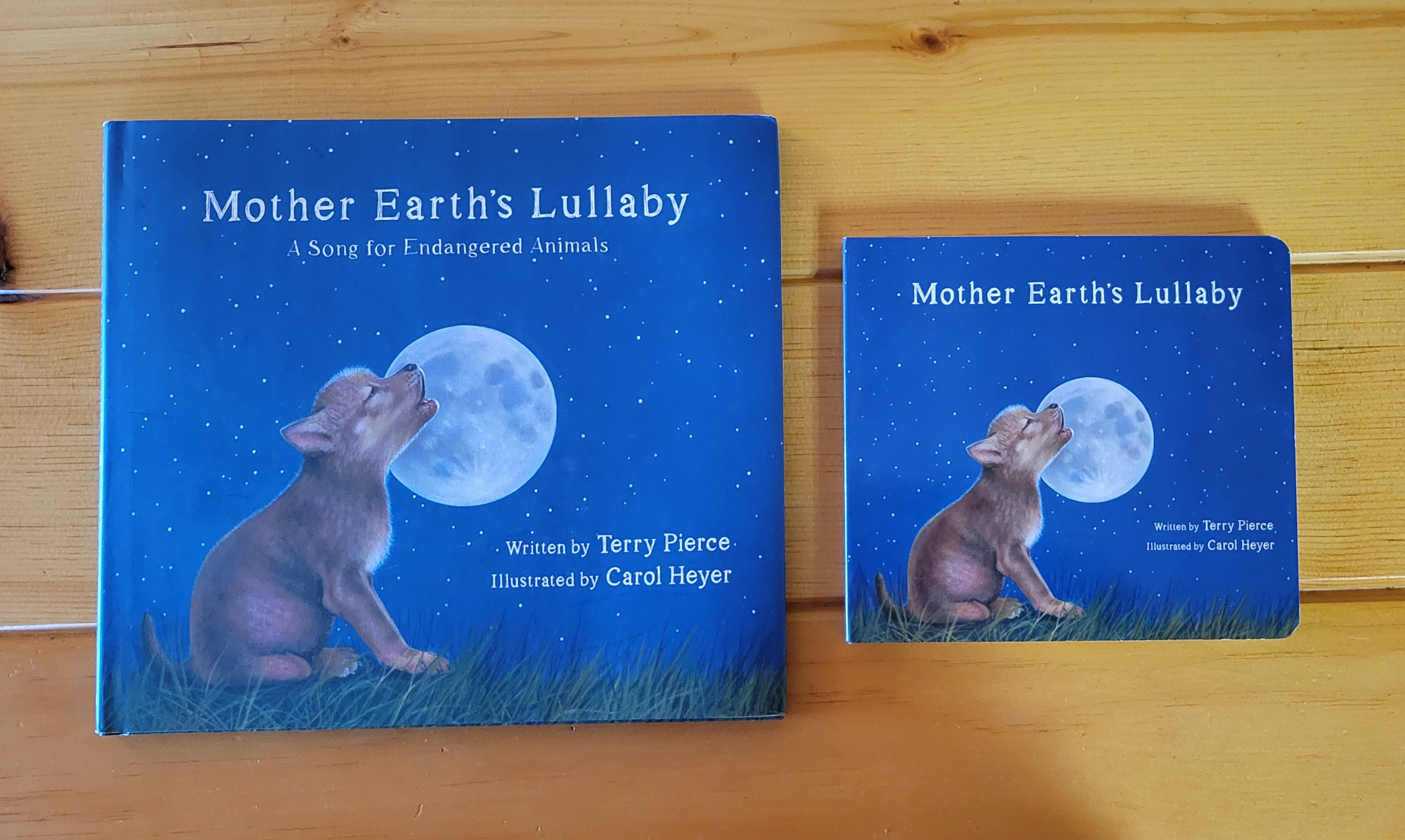 ANOTHER BOARD BOOK! | Terry Pierce