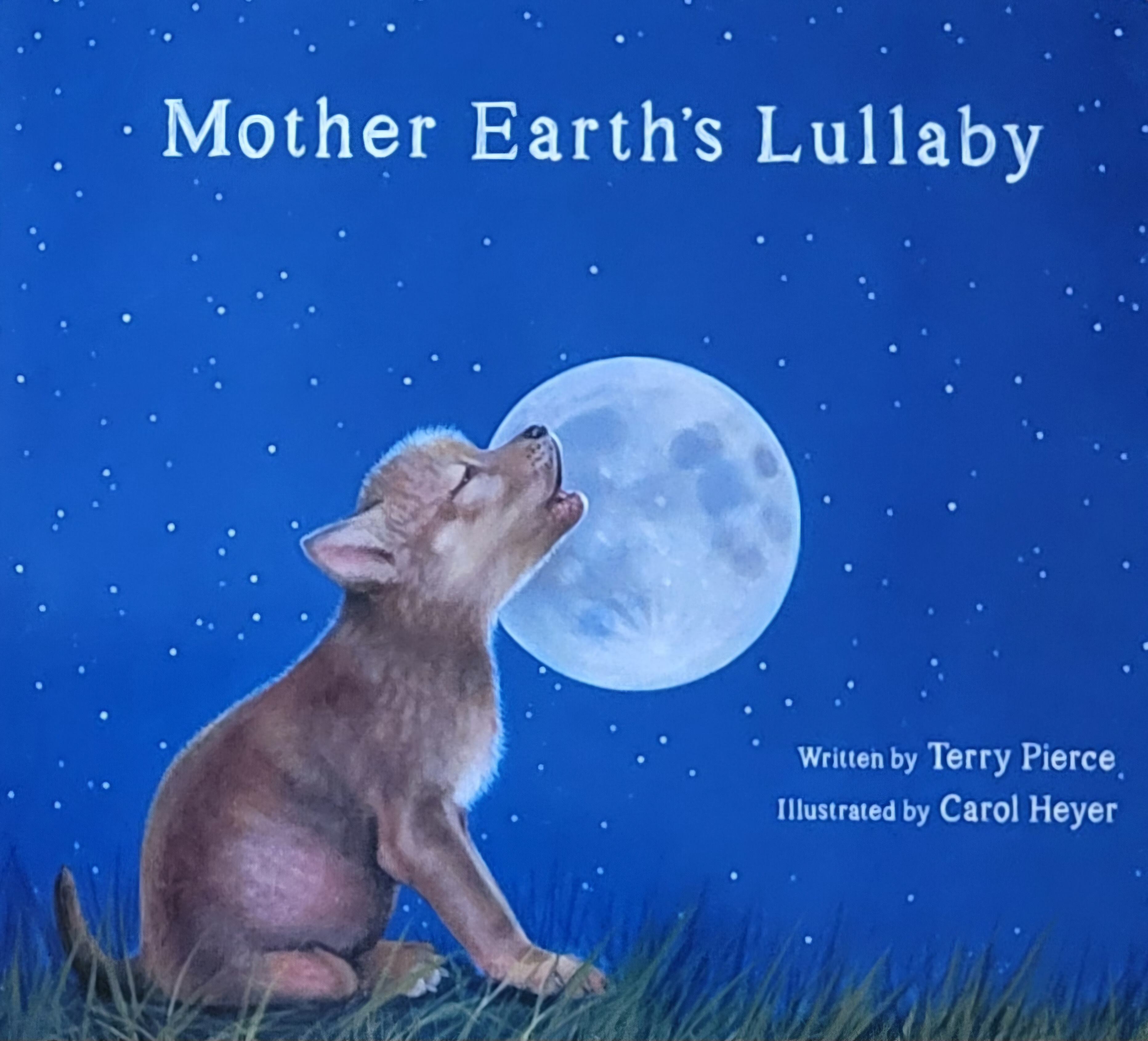 Terry Pierce | Children's Author