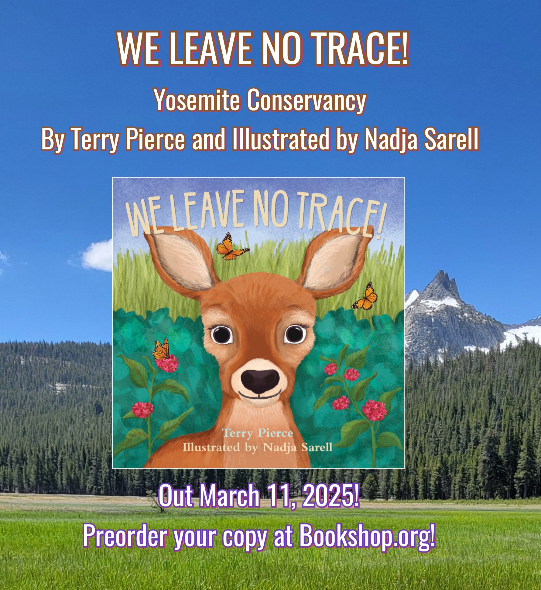 Countdown to New Book Release…One More Month! | Terry Pierce